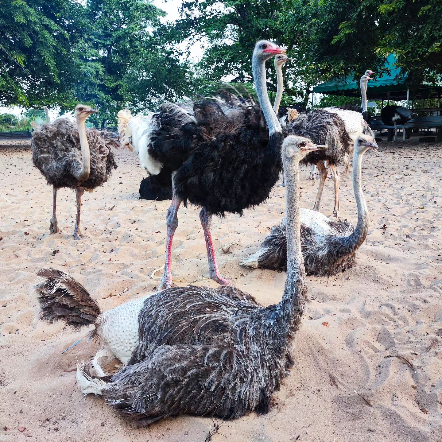 Best Special Departure Tours 2025 - WTS Travel & Tours - Tours Packages ...