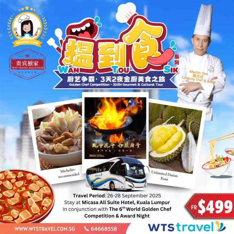 Best Special Departure Tours 2025 - WTS Travel & Tours - Tours Packages ...